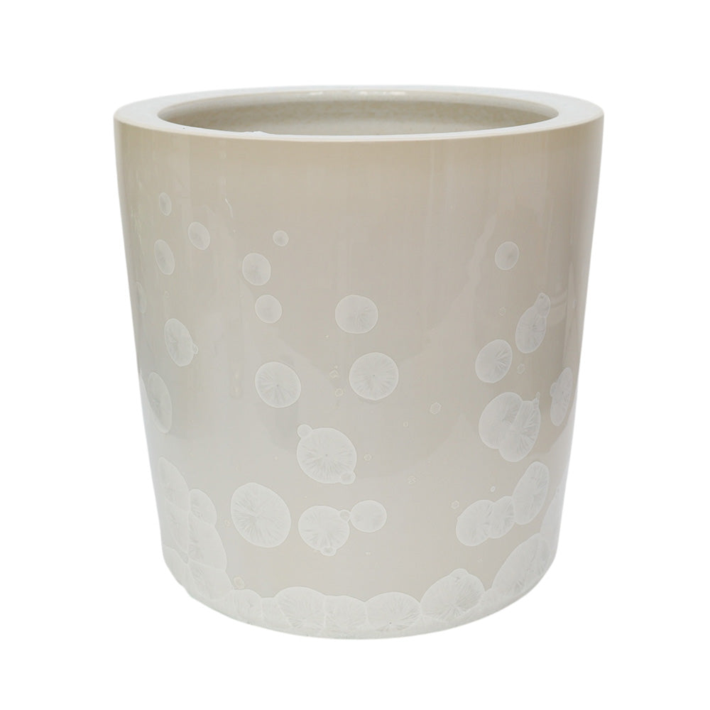 Crystal Shell Orchid Pot – Highgate House